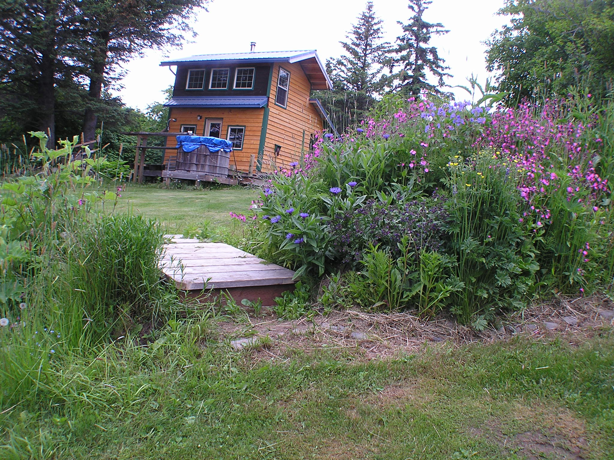 SAUNA BUILDING – Road Less Travelled