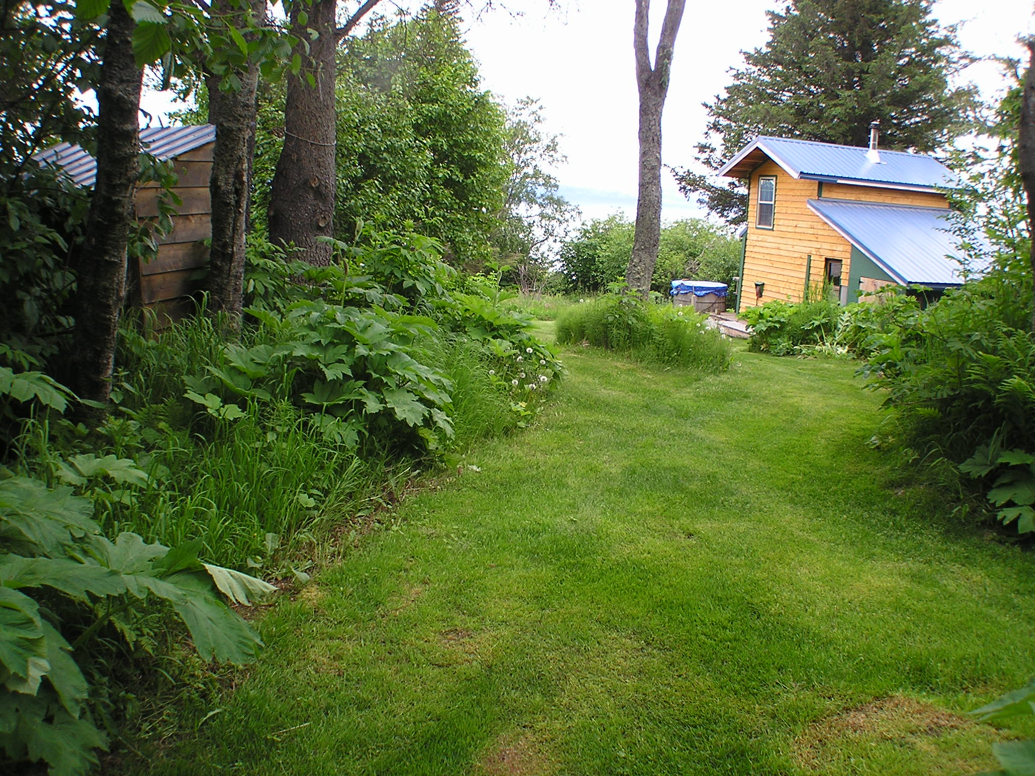 SAUNA BUILDING – Road Less Travelled